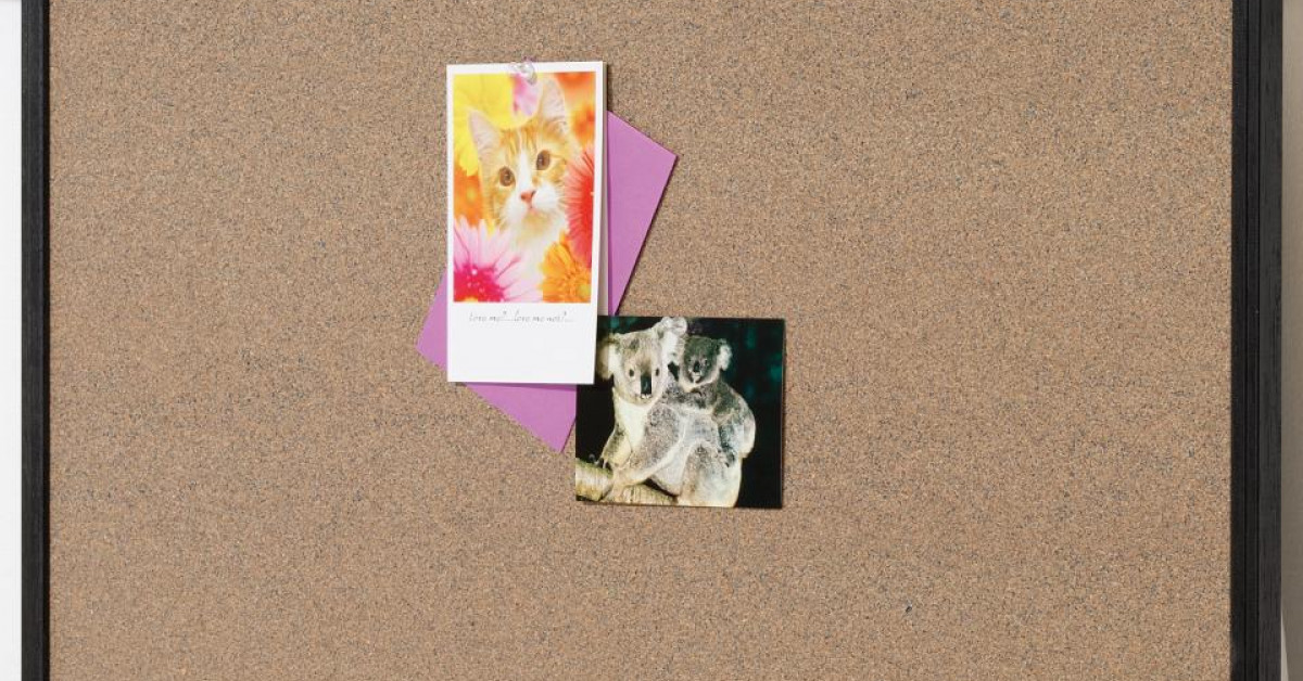 Quartet Cork Pinboard Black Wood Frame 600 x 900mm